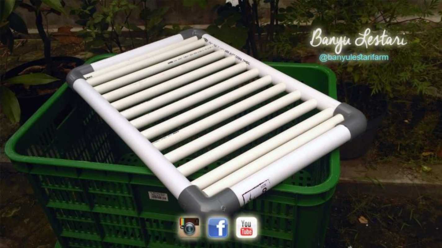 Jual Alat Sortir Lele Ukuran Konsumsi Di Seller Sangninja Cengkareng