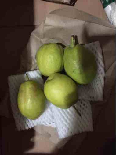 Jual Pir Xiang Lie Impor Impor 500 gram Sayurbox - JKT di Seller ...
