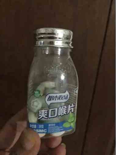 Jual Dosmc Xinle Permen Buah Rasa Mint [100 G/ Botol] Di Seller W.jaya ...