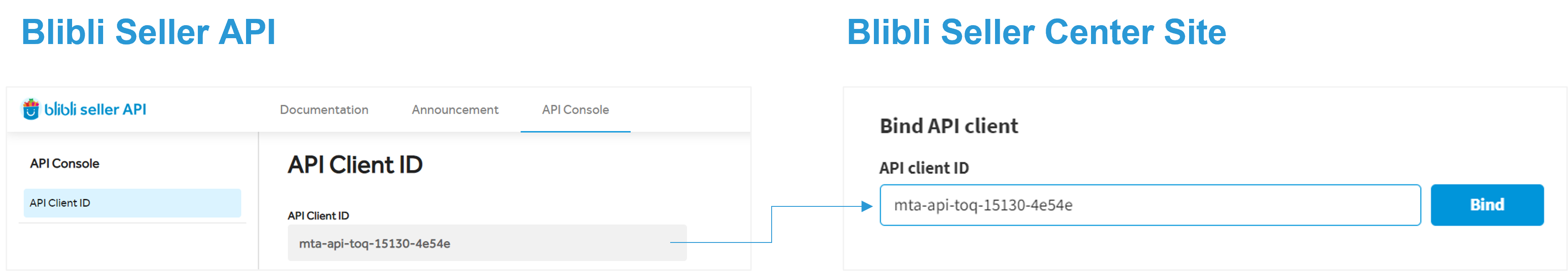You need to bear in mind that Seller and Aggregator has a specific way to bind the API Client ID.