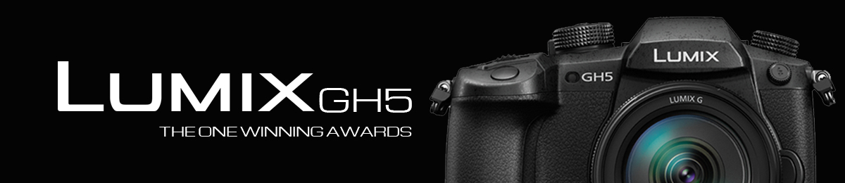Lumix GH5 | Blibli.com
