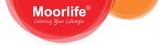 Logotipo De Moorlife Official Mickey Mouse 3Pcs Coloured Premium Micro