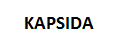 Jual Kapsida Terbaru Februari 2024 100% Original – Official Store ...