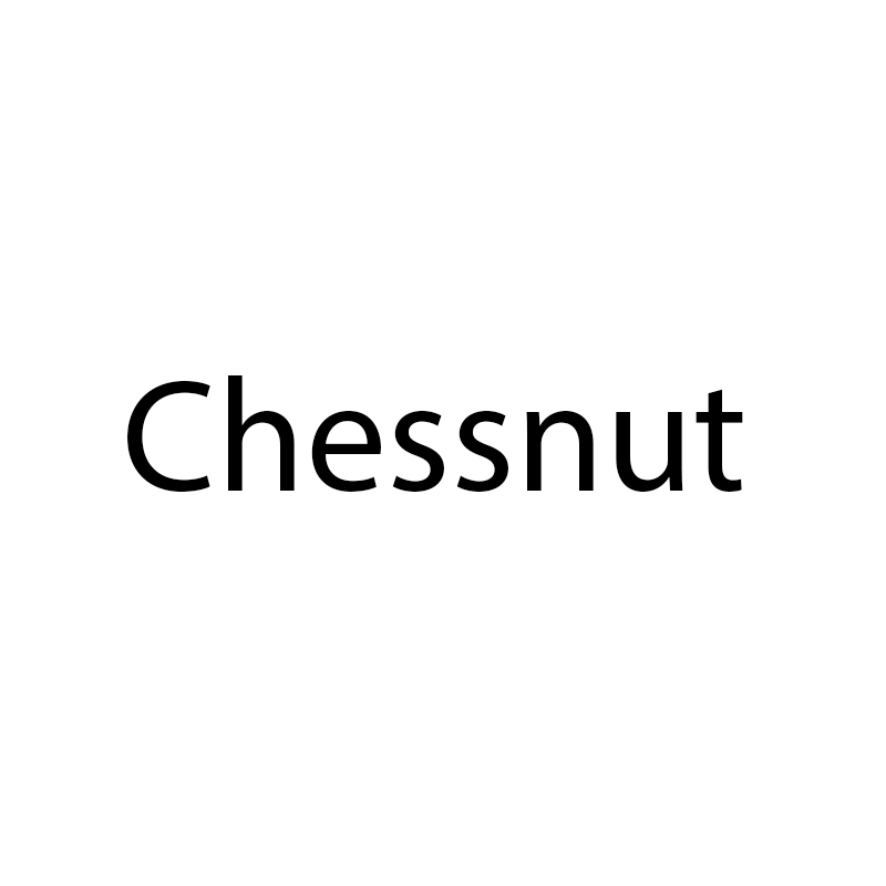 Jual Chessnut Terbaru September 2023 100% Original – Official Store Indonesia | Blibli