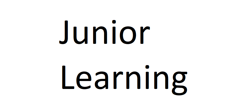 Jual Junior Learning Juni 2024 100% Original – Official Store Indonesia | Blibli