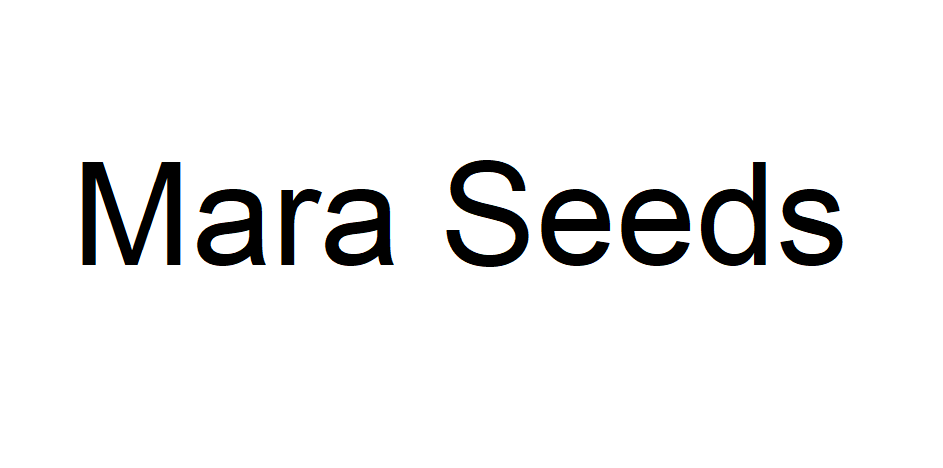 Jual Mara Seeds Terbaru April 2024 100% Original – Official Store ...