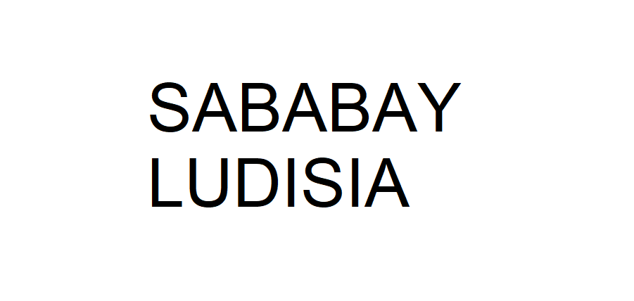 Jual Sababay Ludisia Terbaik Oktober 2025 - Harga Murah & Gratis Ongkir ...