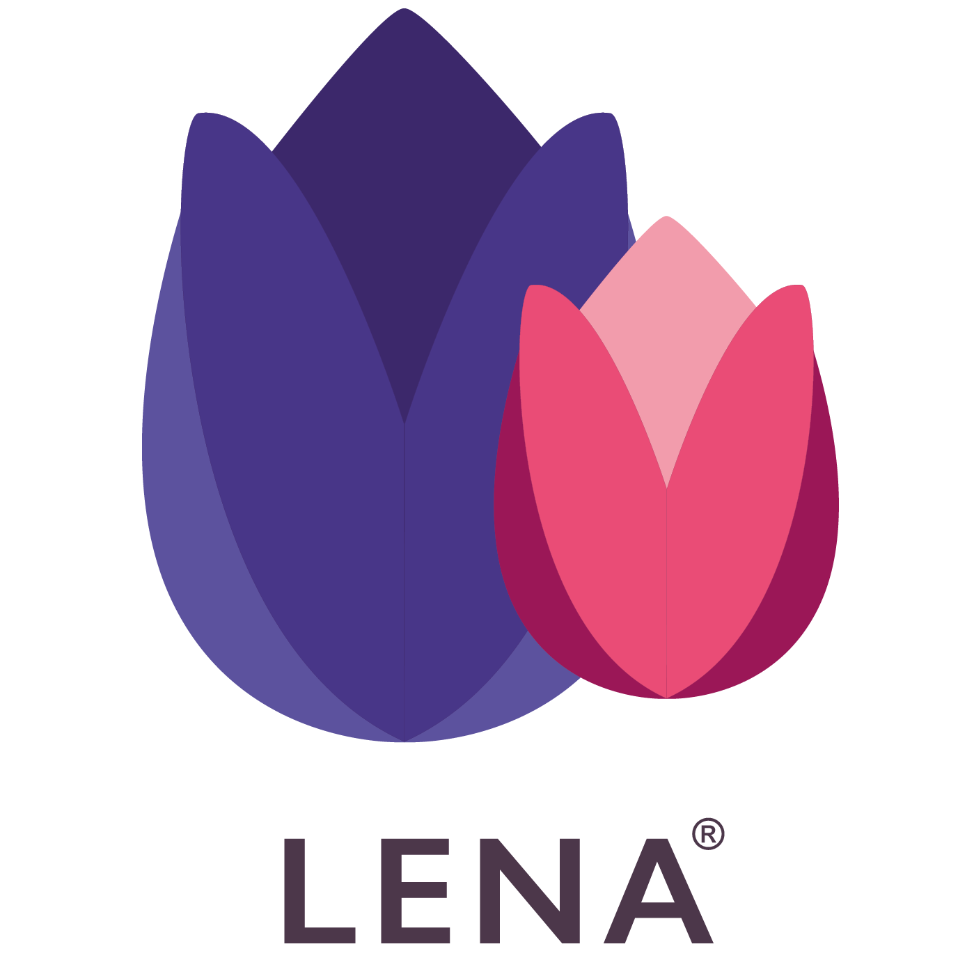 Jual Lena Juni 2024 100% Original – Official Store Indonesia | Blibli