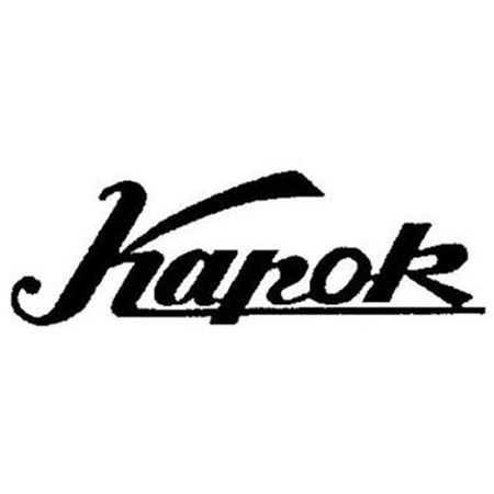 Gitar Kapok Logo 9213 Kapok EG 11DT Electric Guitar Set