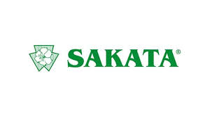 Jual Sakata Terbaru September 2023 100% Original – Official Store ...