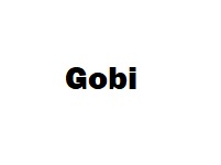 Gobi Mei 2025 100% Original – Official Store Indonesia