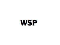 Jual Wsp Terbaru Agustus 2023 100% Original – Official Store Indonesia ...
