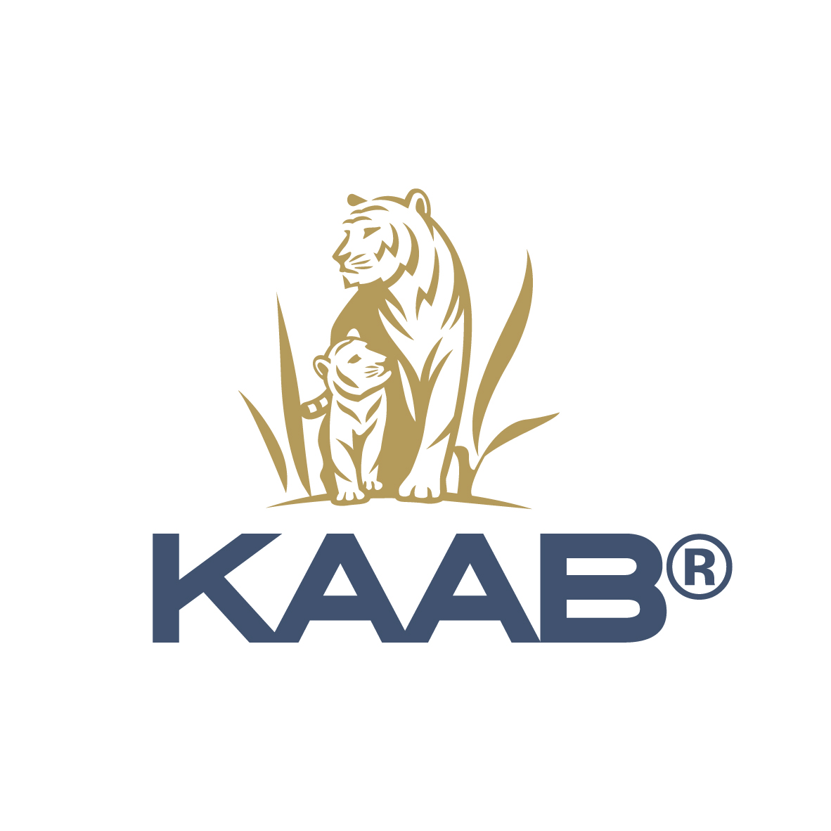 Jual Kaab Terbaru Maret 2023 100% Original – Official Store | Blibli