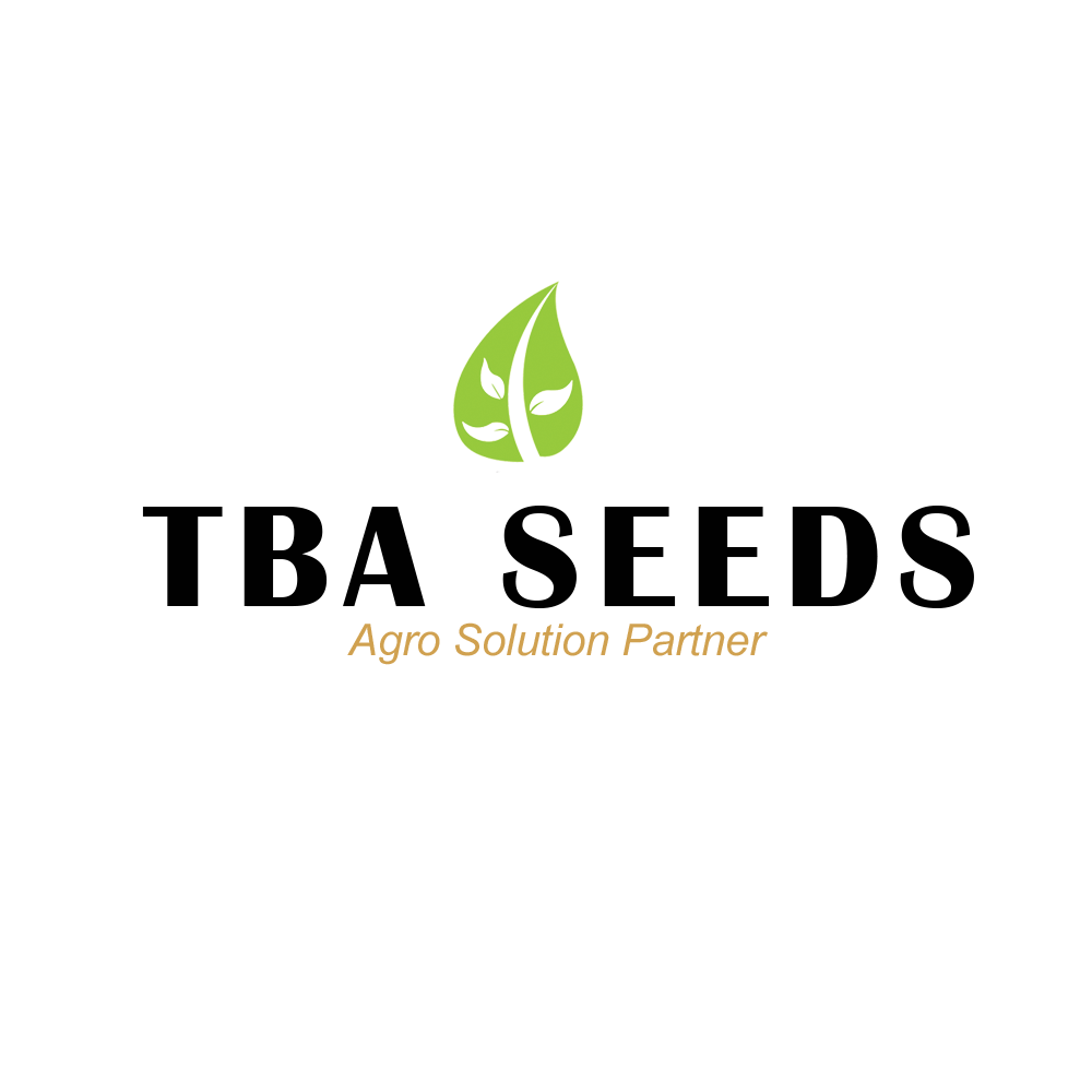 Jual Tba Seeds Terbaru Juni 2024 100% Original – Official Store ...