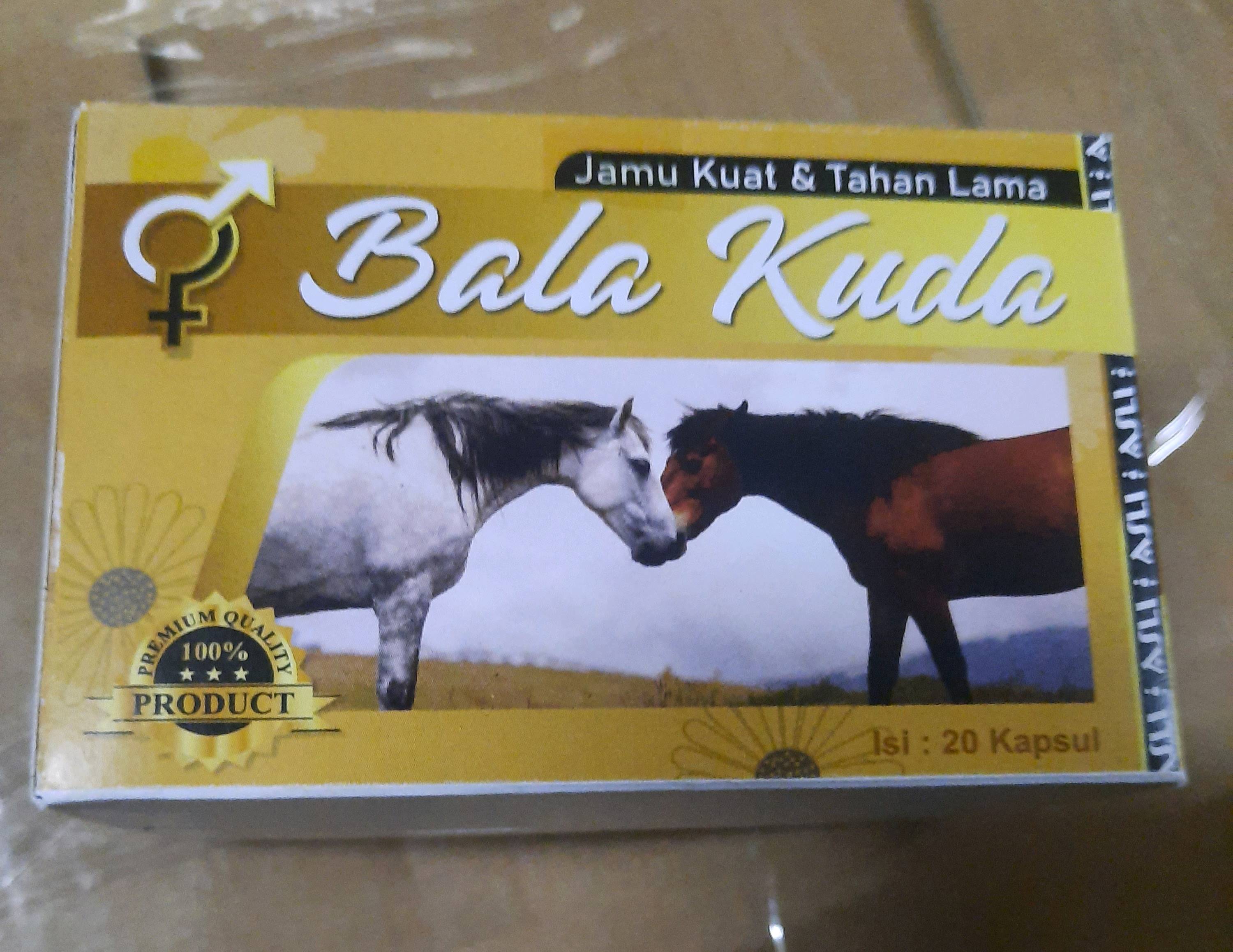 Jual Bala Kuda Terbaru Januari 2023 100% Original – Official Store | Blibli