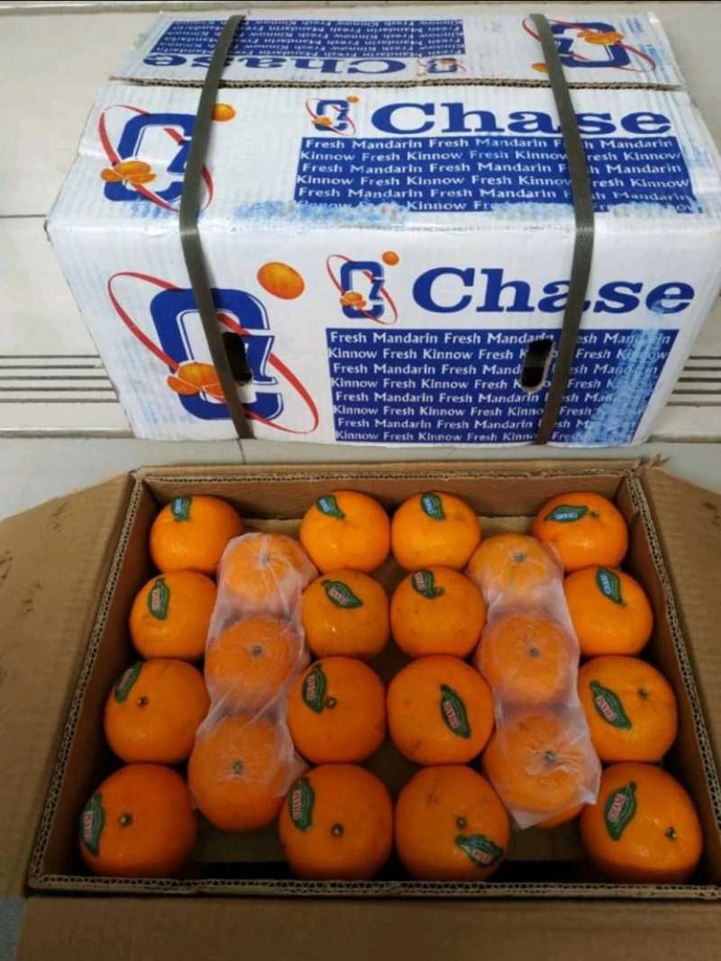 jeruk mandarin harga