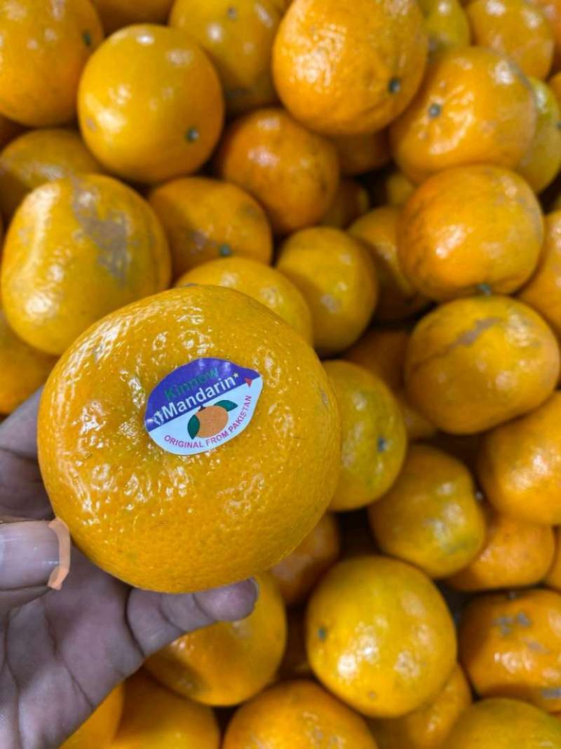 jeruk mandarin harga