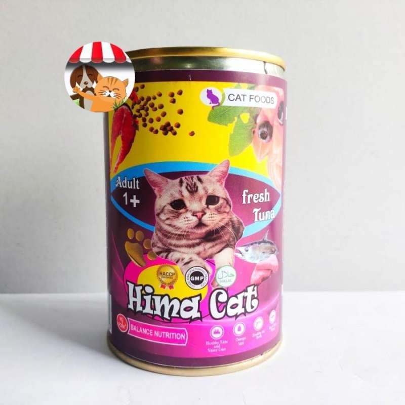 kucing hima