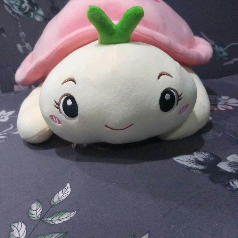 boneka kucing seulgi