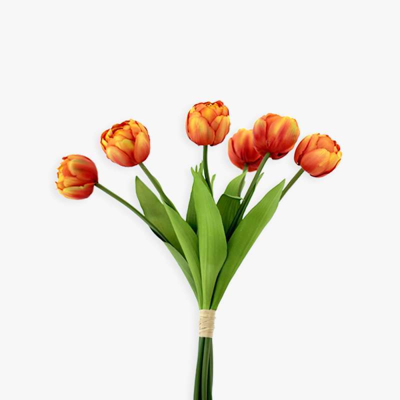 bunga tulip orange
