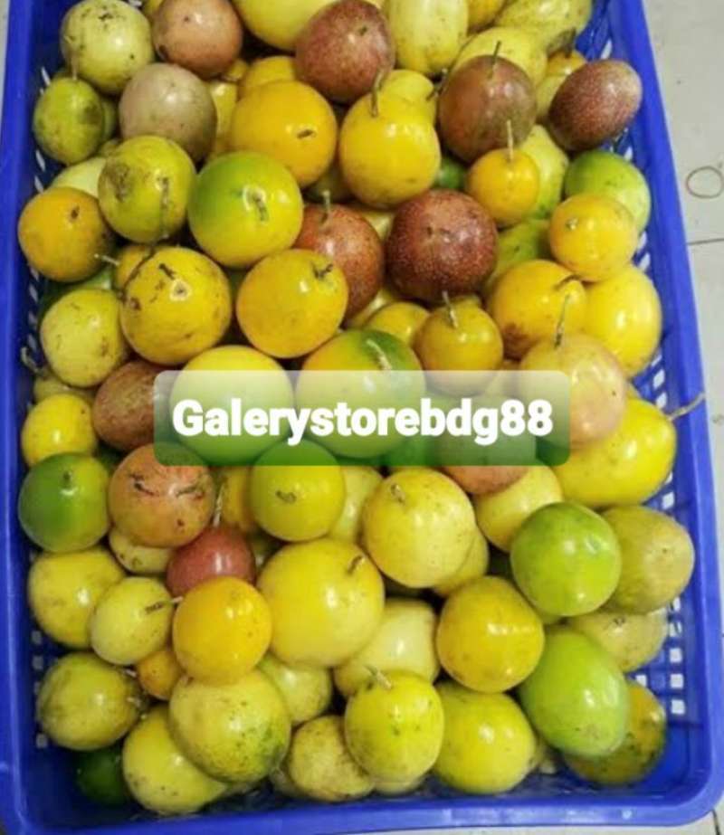 buah markisa kuning