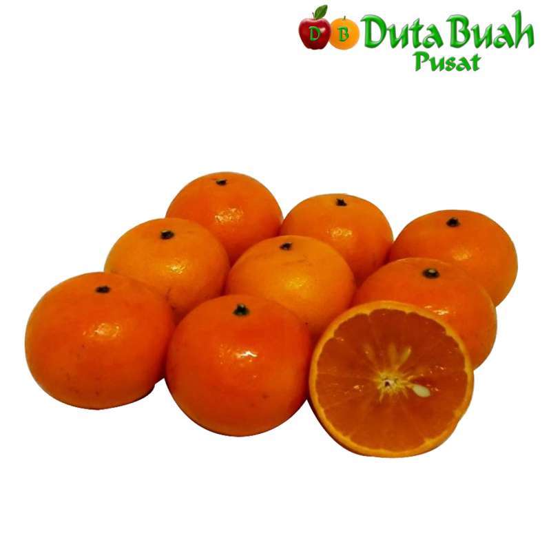 jeruk mandarin harga