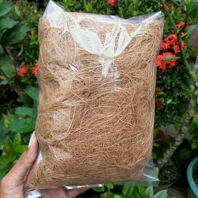 jual sabut kelapa untuk tanaman