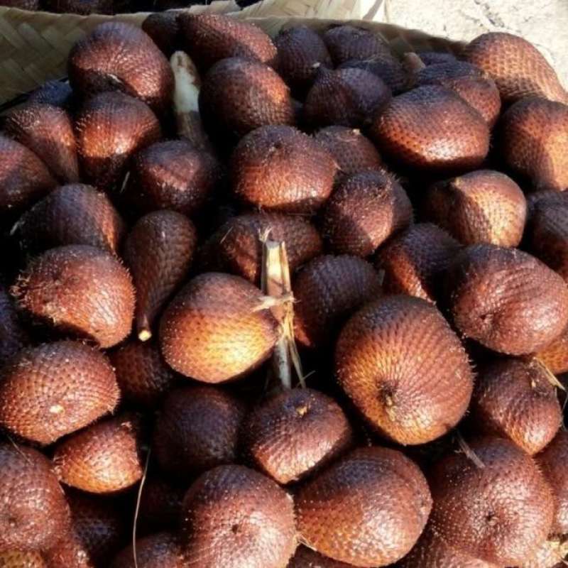 salak madu