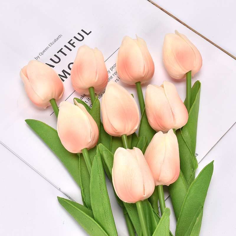 bunga tulip harga