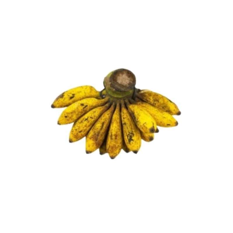 pisang raja bulu untuk bayi