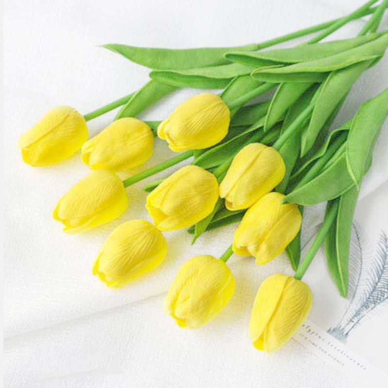 bunga tulip kuning
