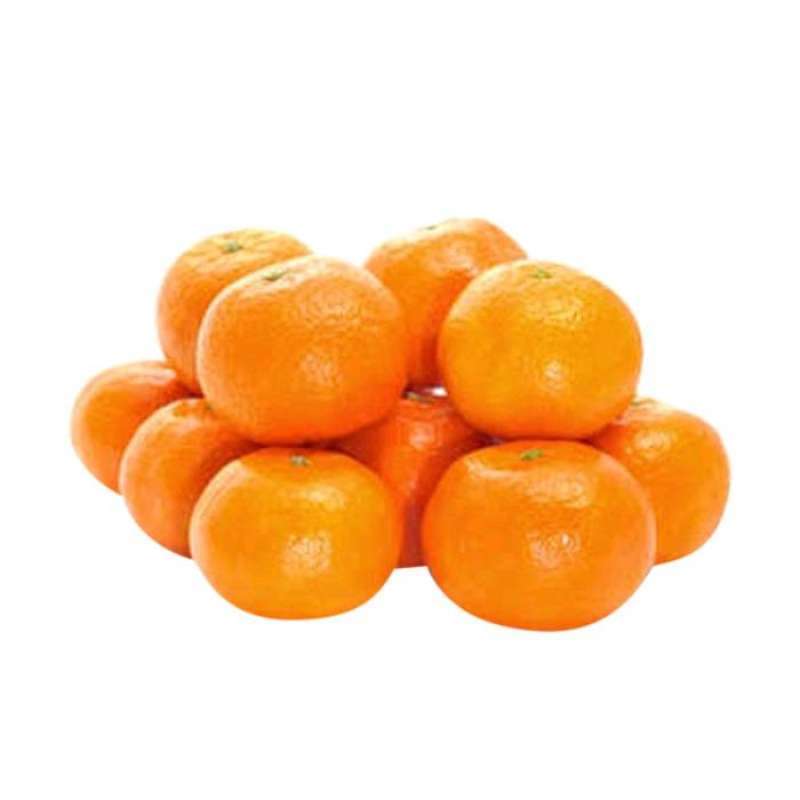 jeruk mandarin harga