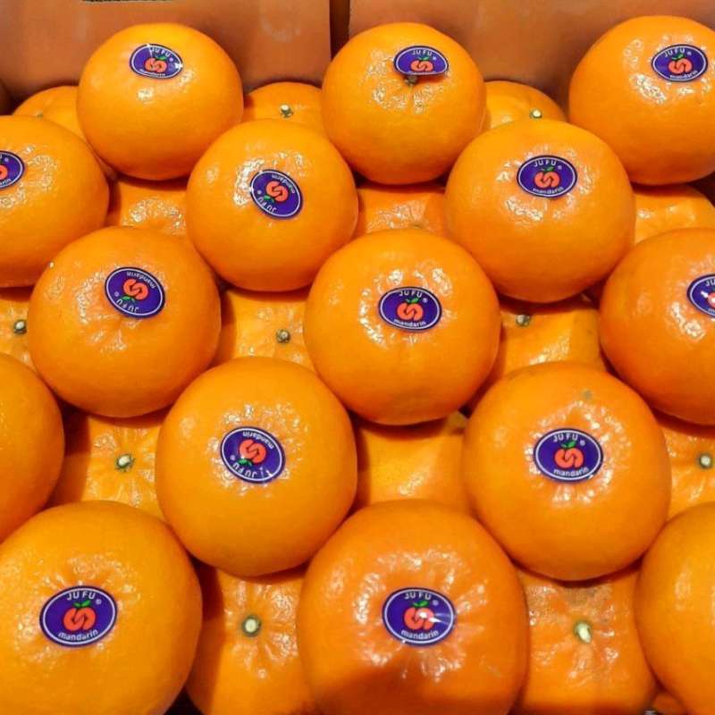 jeruk mandarin wogan