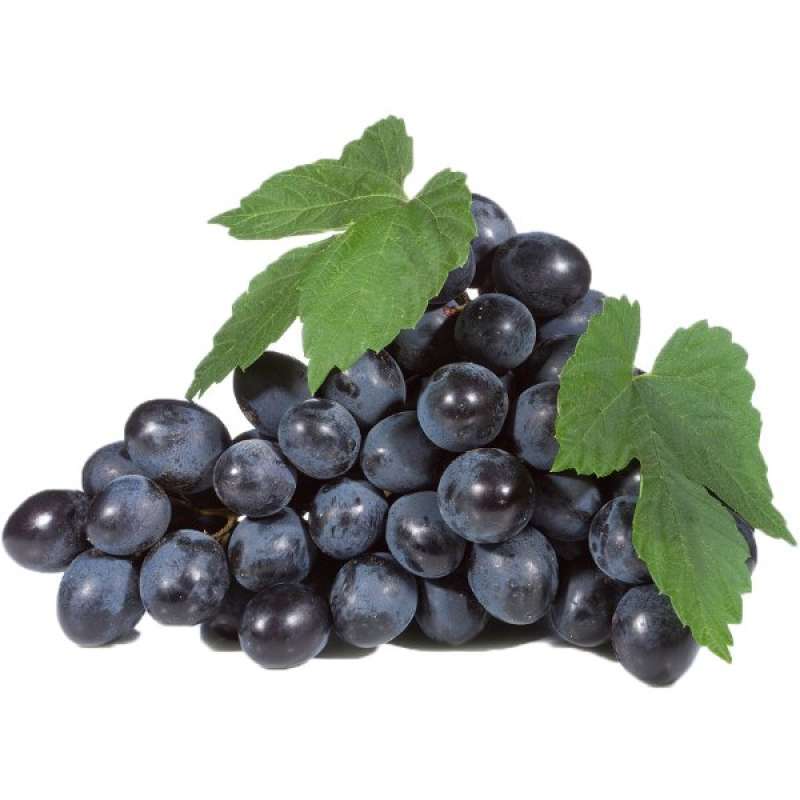 anggur hitam