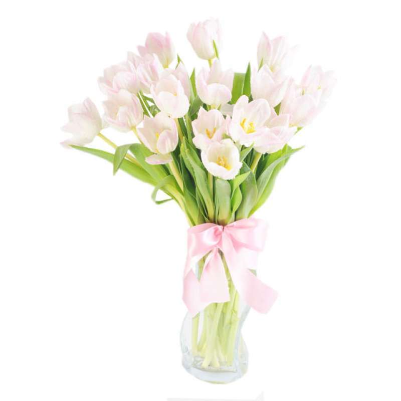 bunga tulip harga