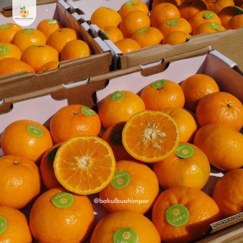 jeruk mandarin wogan