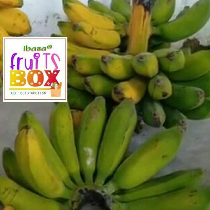 pisang raja bulu untuk bayi