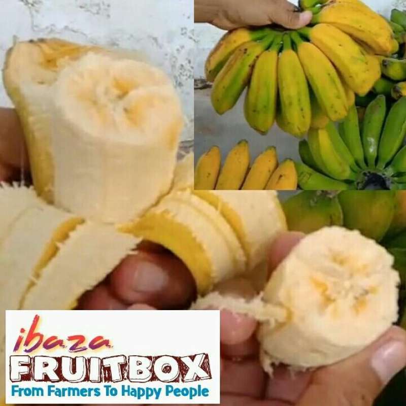 pisang raja bulu untuk bayi