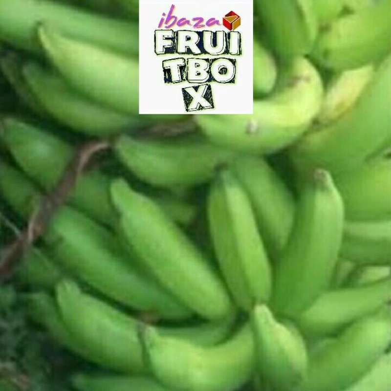 pisang raja bulu untuk bayi