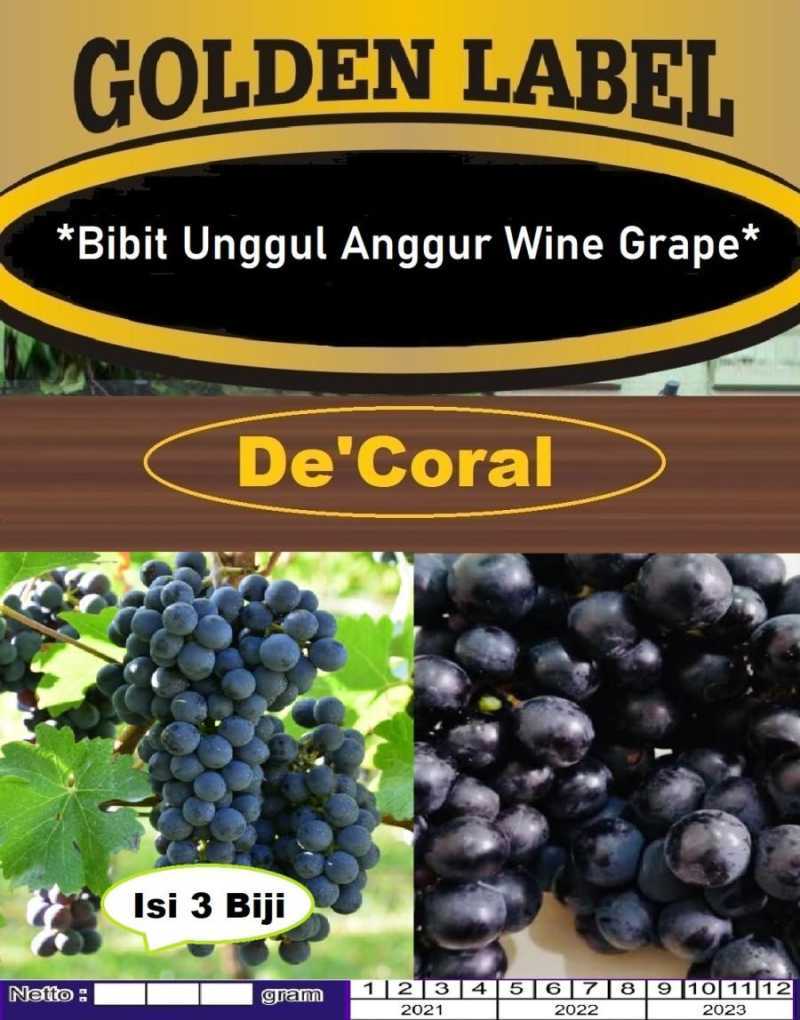 bibit pohon anggur hitam