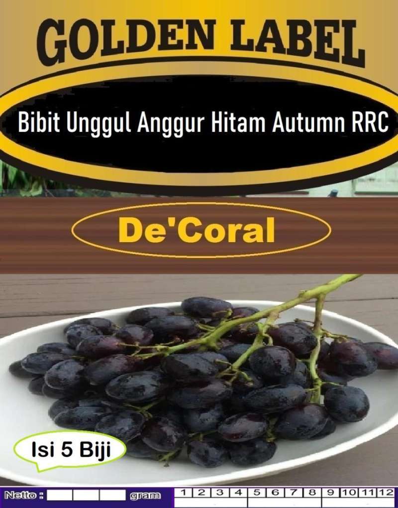 bibit pohon anggur hitam