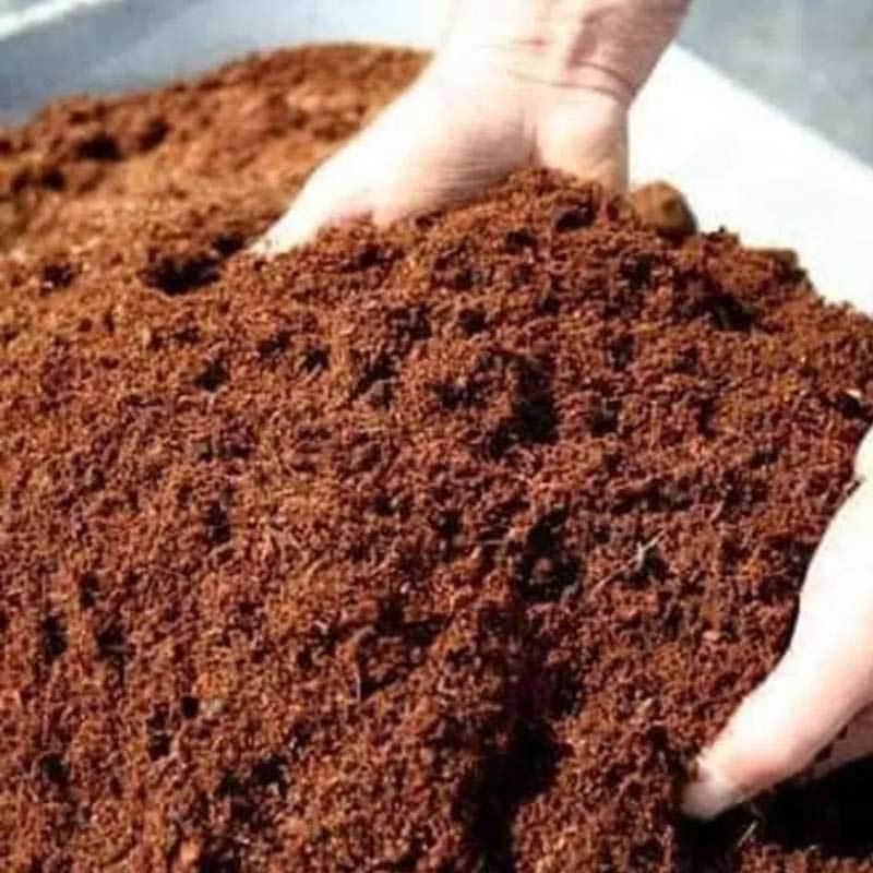 Jual Cocopeat Kokopit Media Tanam serbuk Kelapa Halus 1kg di Seller Eva ...