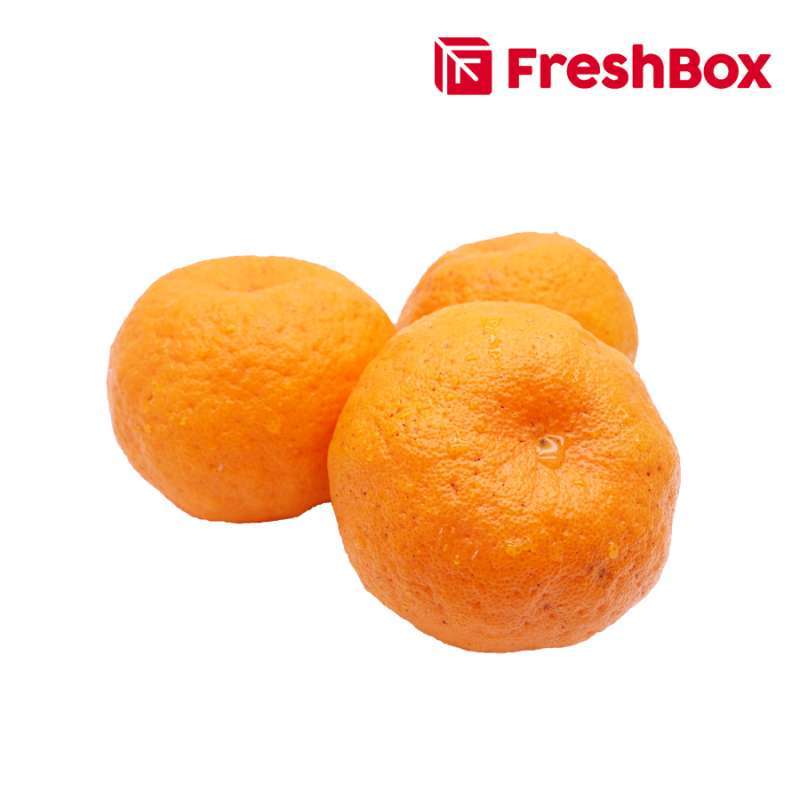 Jual Jeruk Ponkam Size S Terbaru - Harga Promo Februari 2024 | Blibli