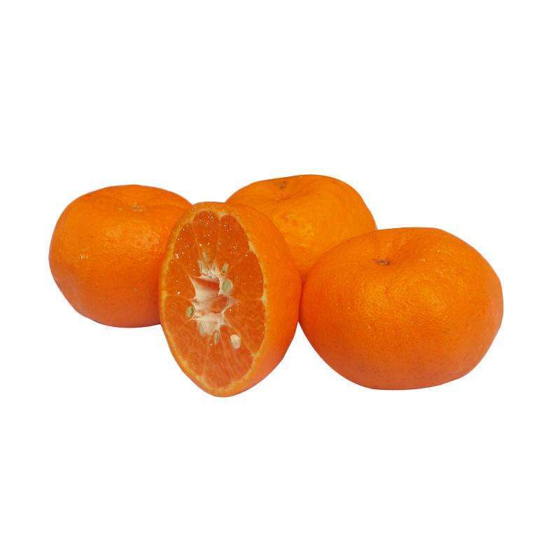 Jual Jeruk Ponkam Manis 1 Kg Termurah - Harga Grosir Terupdate Hari Ini ...