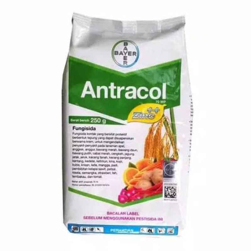 Jual Antracol Fungisida 70wp 250gr Di Seller Super Bangun Jaya Official ...