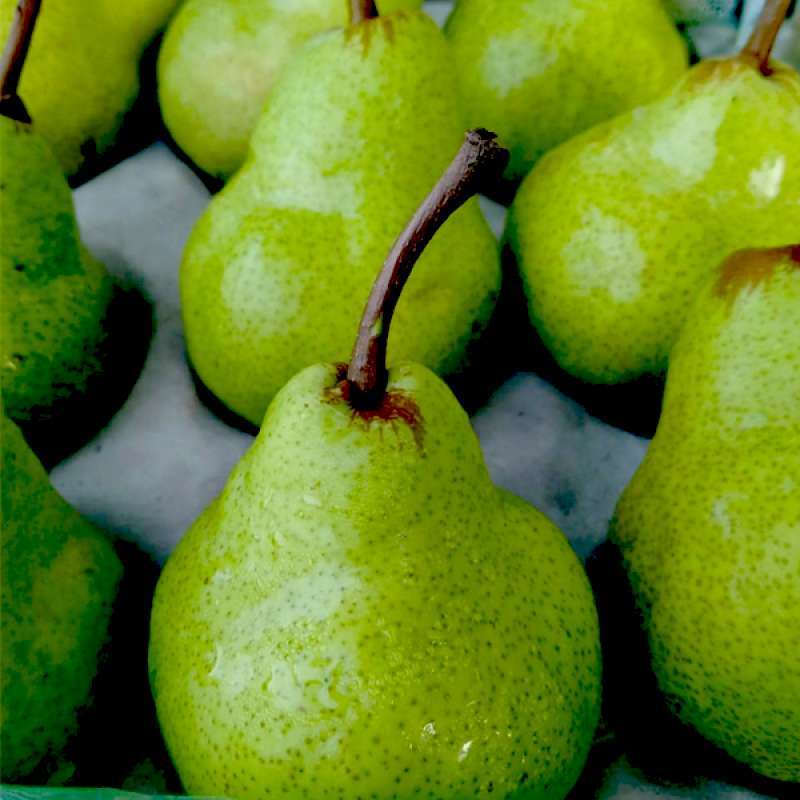 Promo Pear Hijau Rajanya Buah Denpasar [ 1 kg ] Diskon 5% di Seller ...