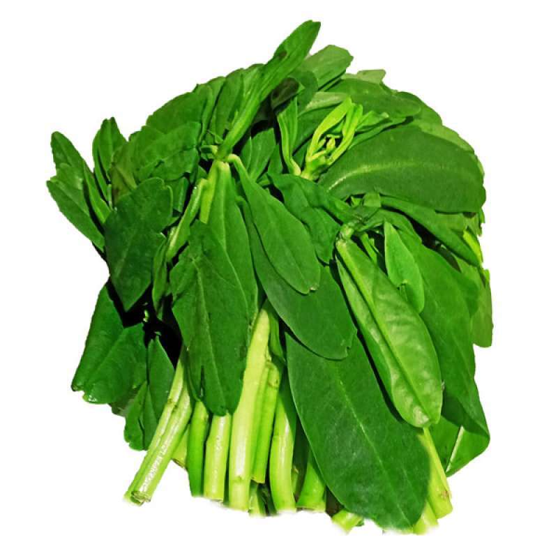 Jual DAUN GINSENG 200 GR di Seller Hypermart Solo Grand Mal Official ...