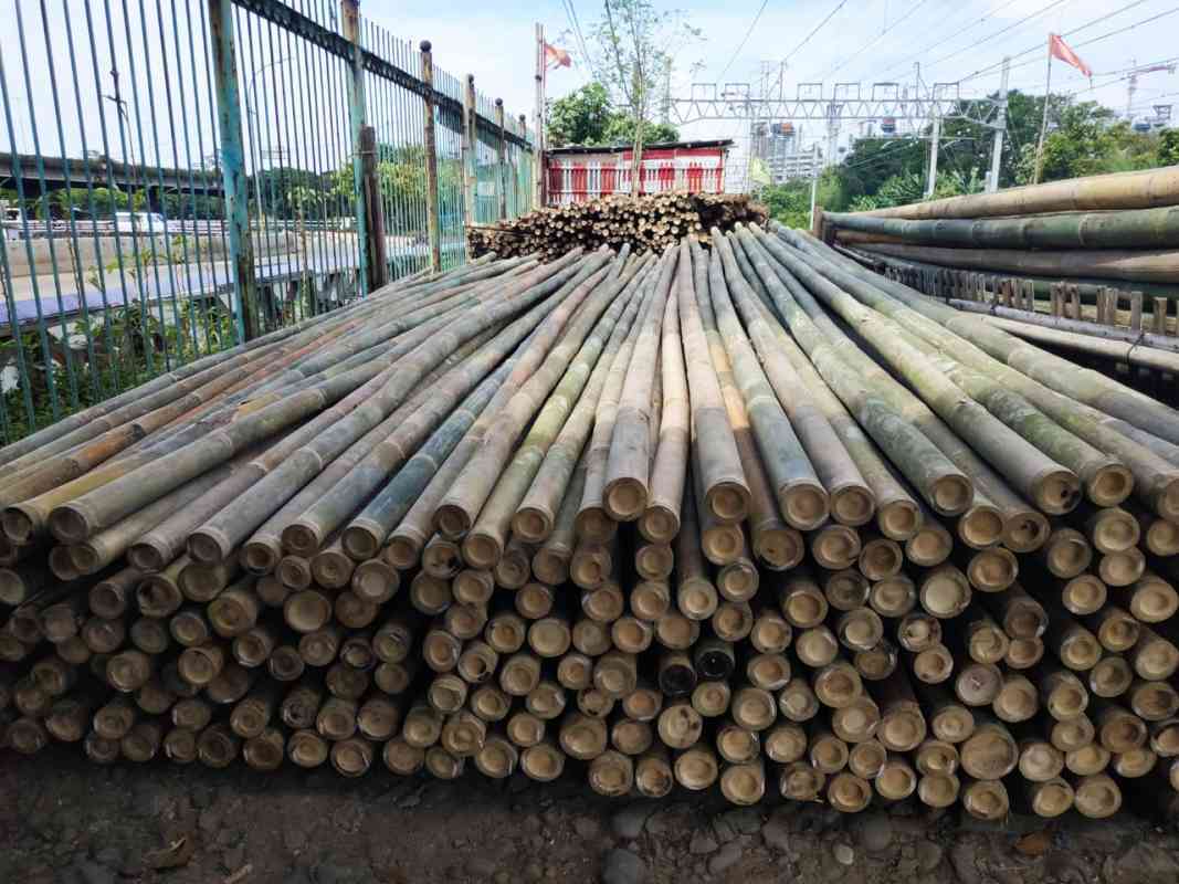 Jual Bambu Steger Diameter 8-9cm Panjang 6 Meter(untuk Proyek) Di ...