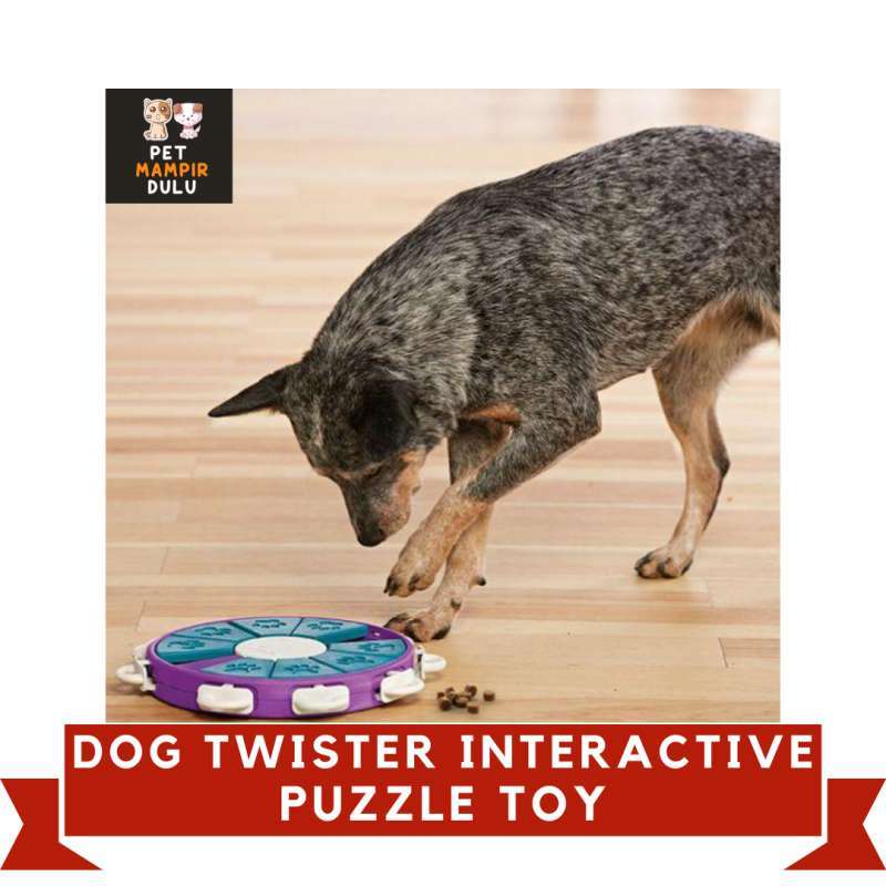 Jual Mainan Anjing Pintar Smart Dog Twister Interactive Puzzle Hidden ...