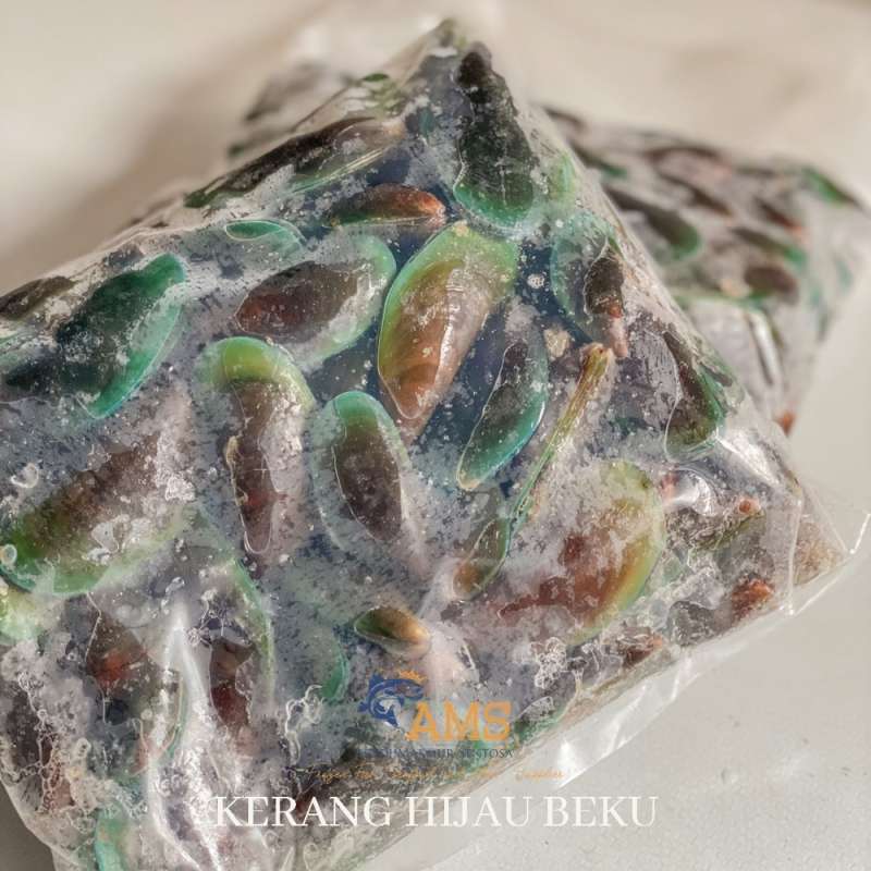 Jual Kerang Ijo Beku / Kemasan 1 kg di Seller Frozen Fish Jogja ...